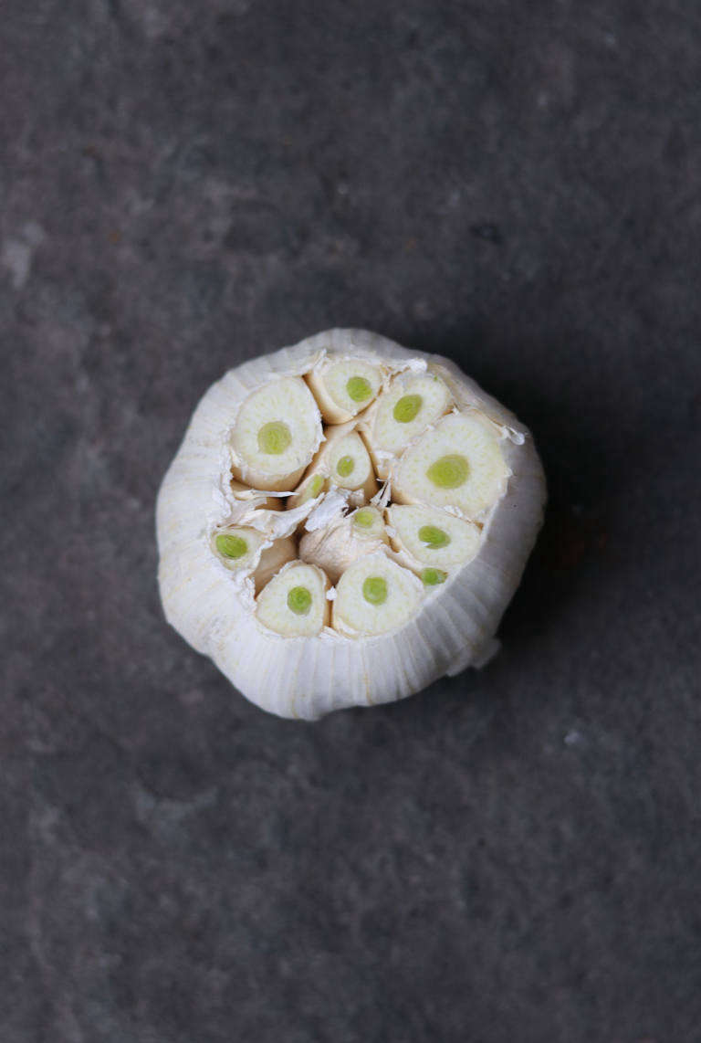 Garlic: Tips to Plant and Grow an Essential Culinary Flavor