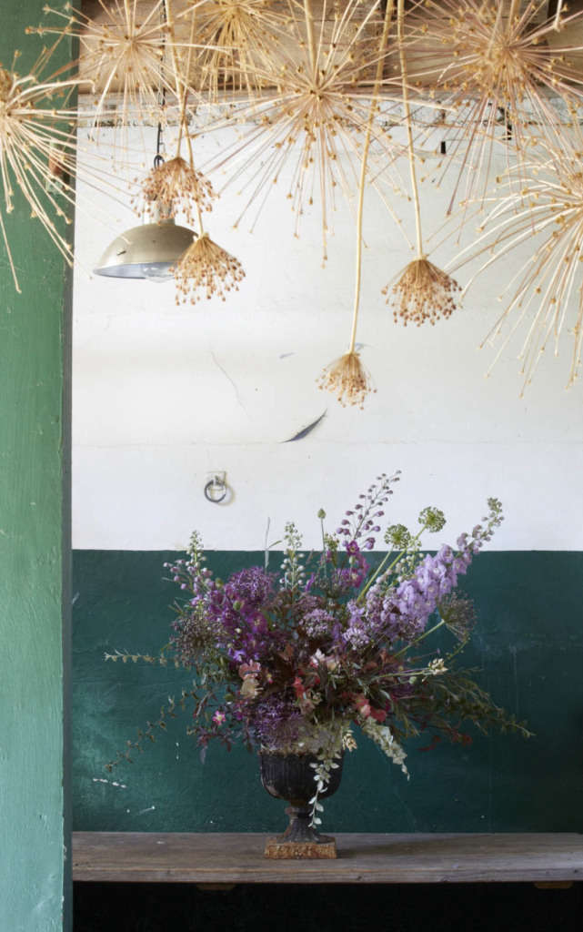 Everything You Need to Know About Ornamental Alliums - Gardenista