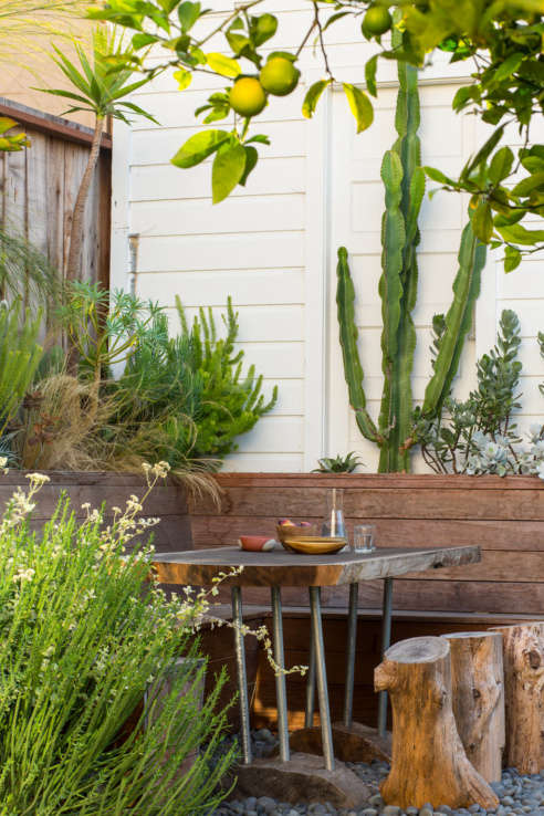 Designer Visit: A 'Magical Green Pocket Garden' in San Francisco ...