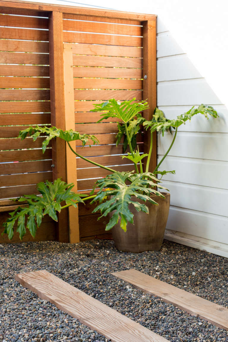 Designer Visit: A 'Magical Green Pocket Garden' in San Francisco ...