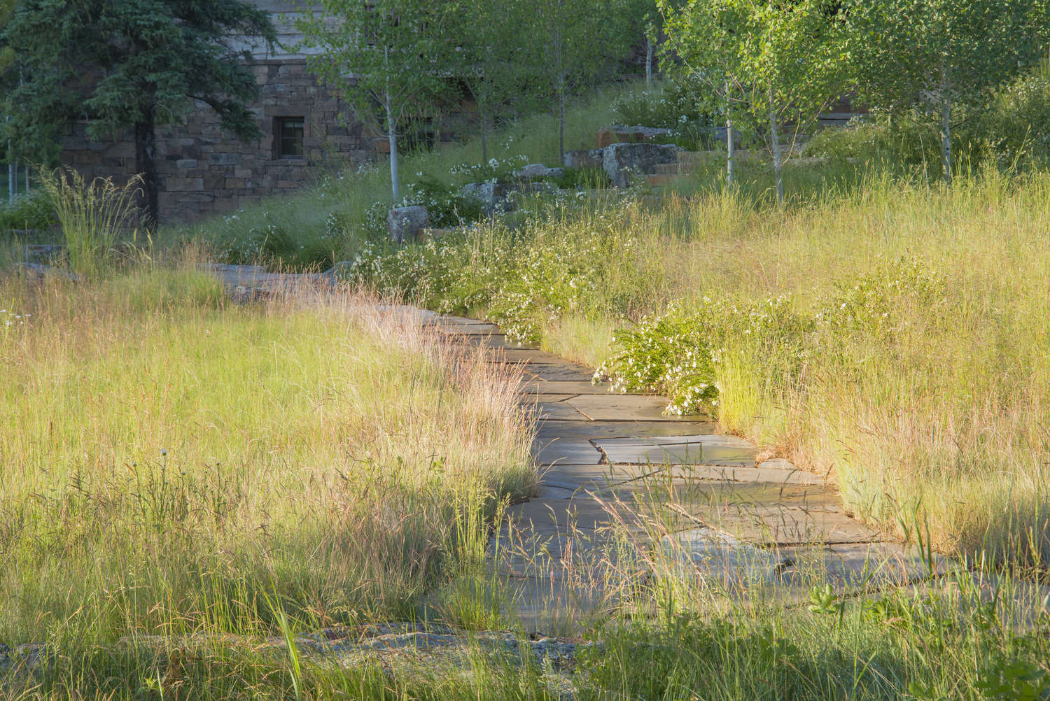 Charlie Mountain Ranch - Gardenista