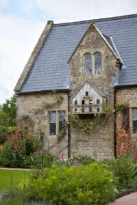 Dovecotes: Everything You Need to Know About the Ultimate English Birdhouse