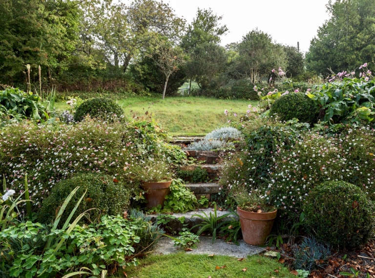 What to Do with the Slope in Your Garden? 6 Attractive Solutions ...