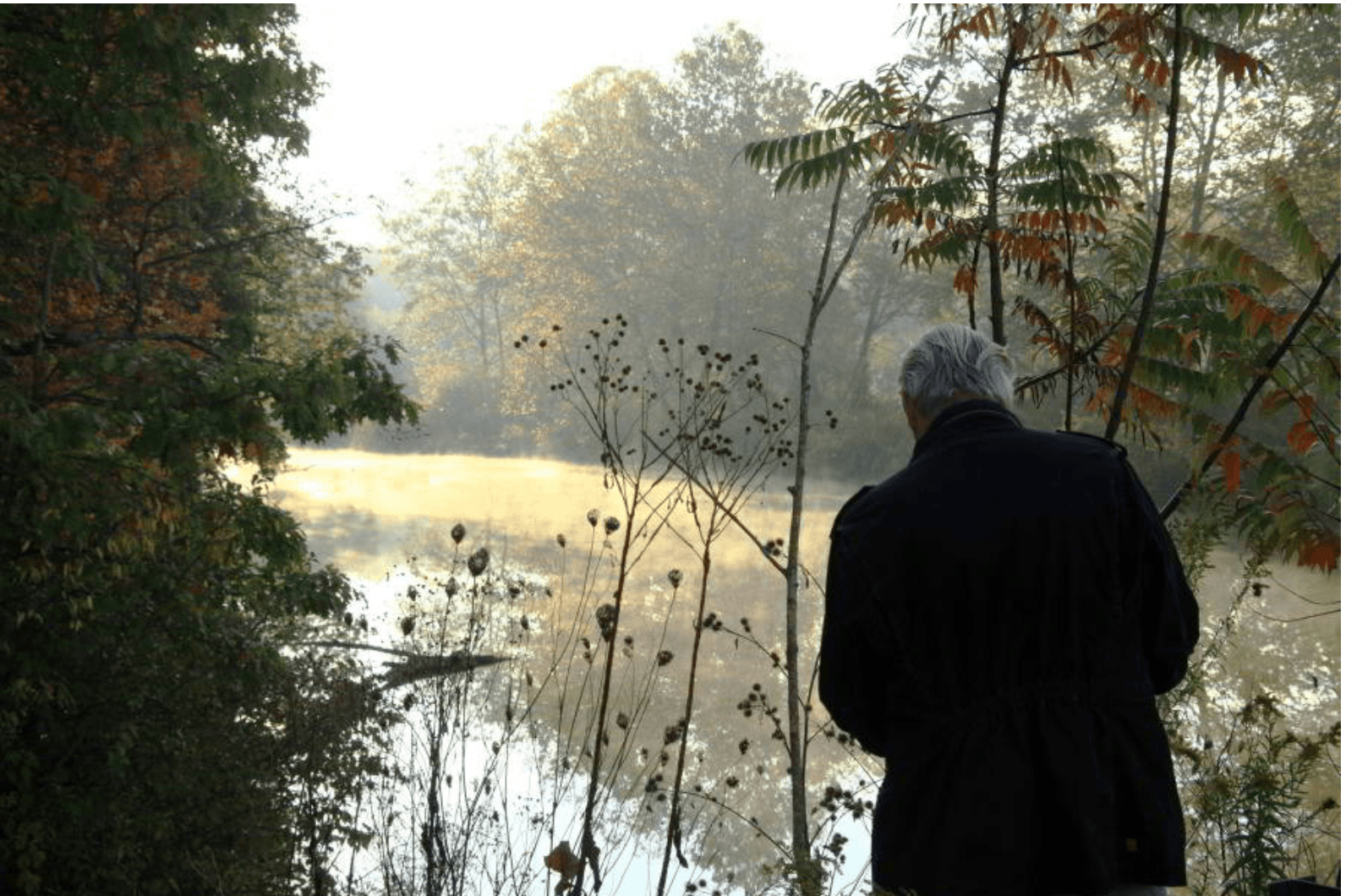 Five Seasons Film: A Documentary About the Gardens of Dutch Designer ...