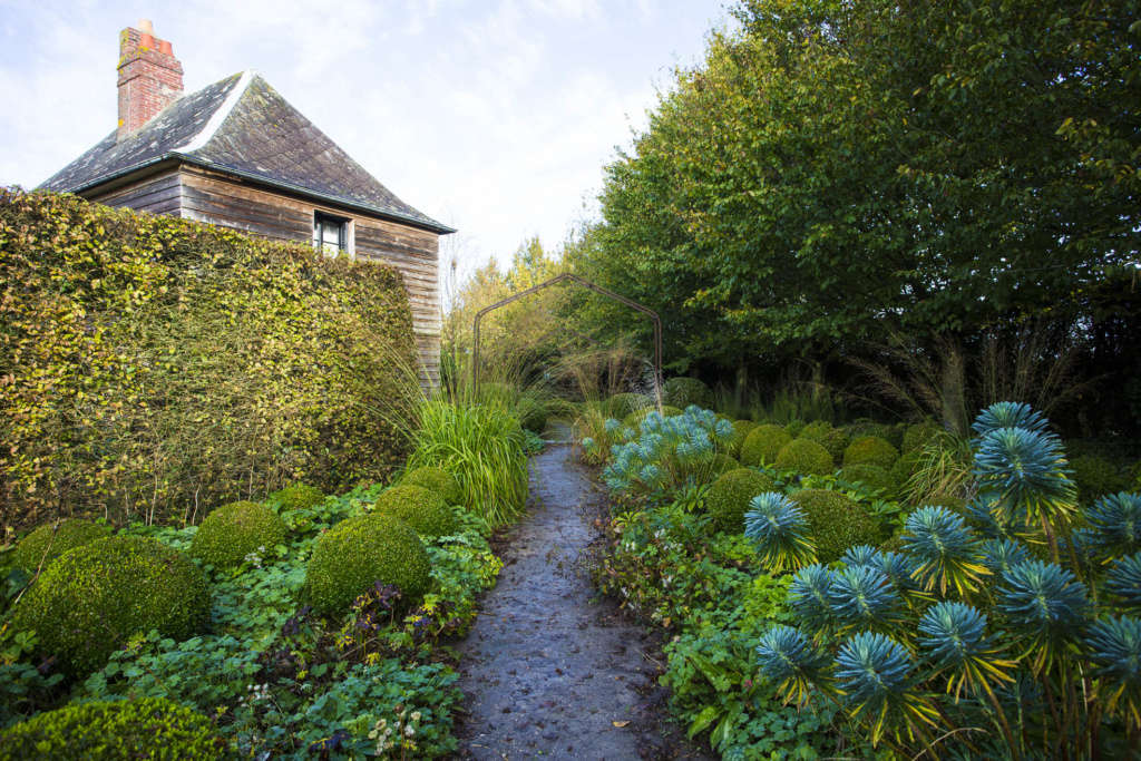 Prince Harry Meghan Markle Royal Wedding Cake: Floral Flavors