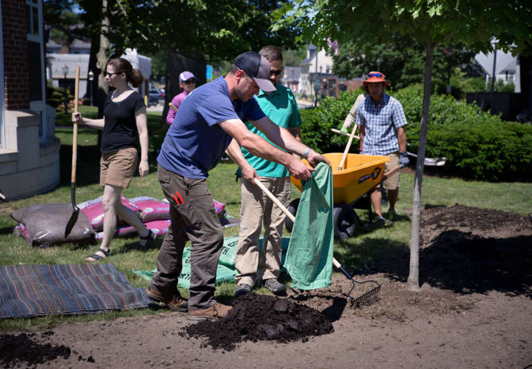 Pollinator Gardens: 8 Easy Steps to Design a Landscape with Native ...