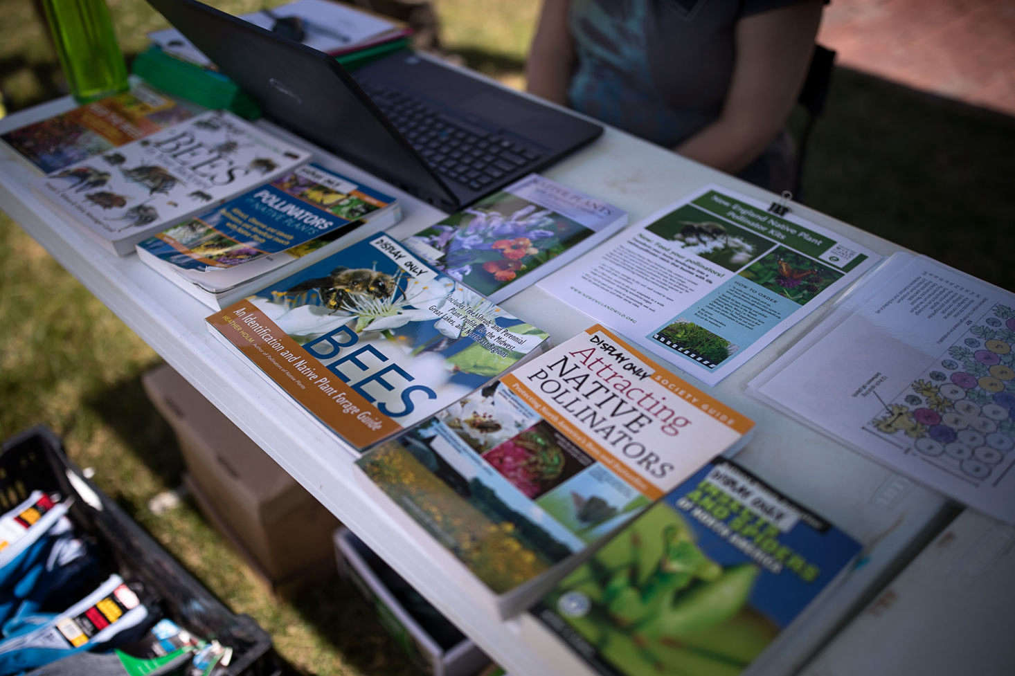 Pollinator Gardens: 8 Easy Steps to Design a Landscape with Native ...