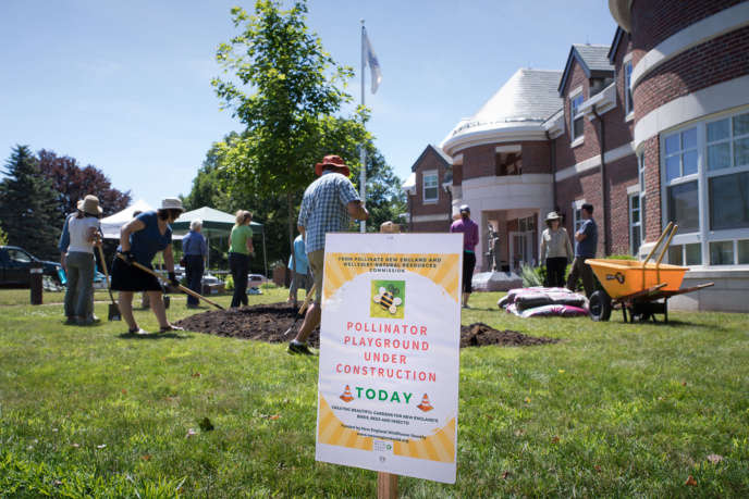 Pollinator Gardens: 8 Easy Steps to Design a Landscape with Native ...