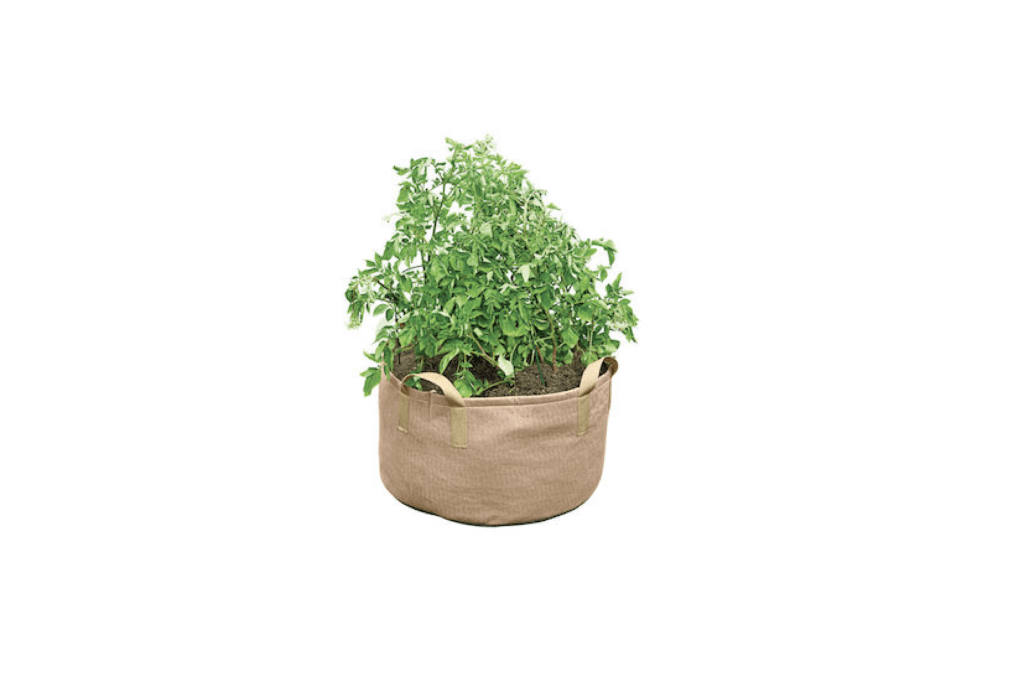 10 Easy Pieces: Potato Growing Kits - Gardenista