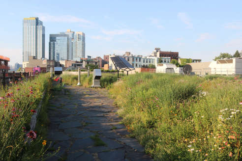 Vice Media's Rooftop: A Brooklyn Meadow Garden with Panoramic Views ...