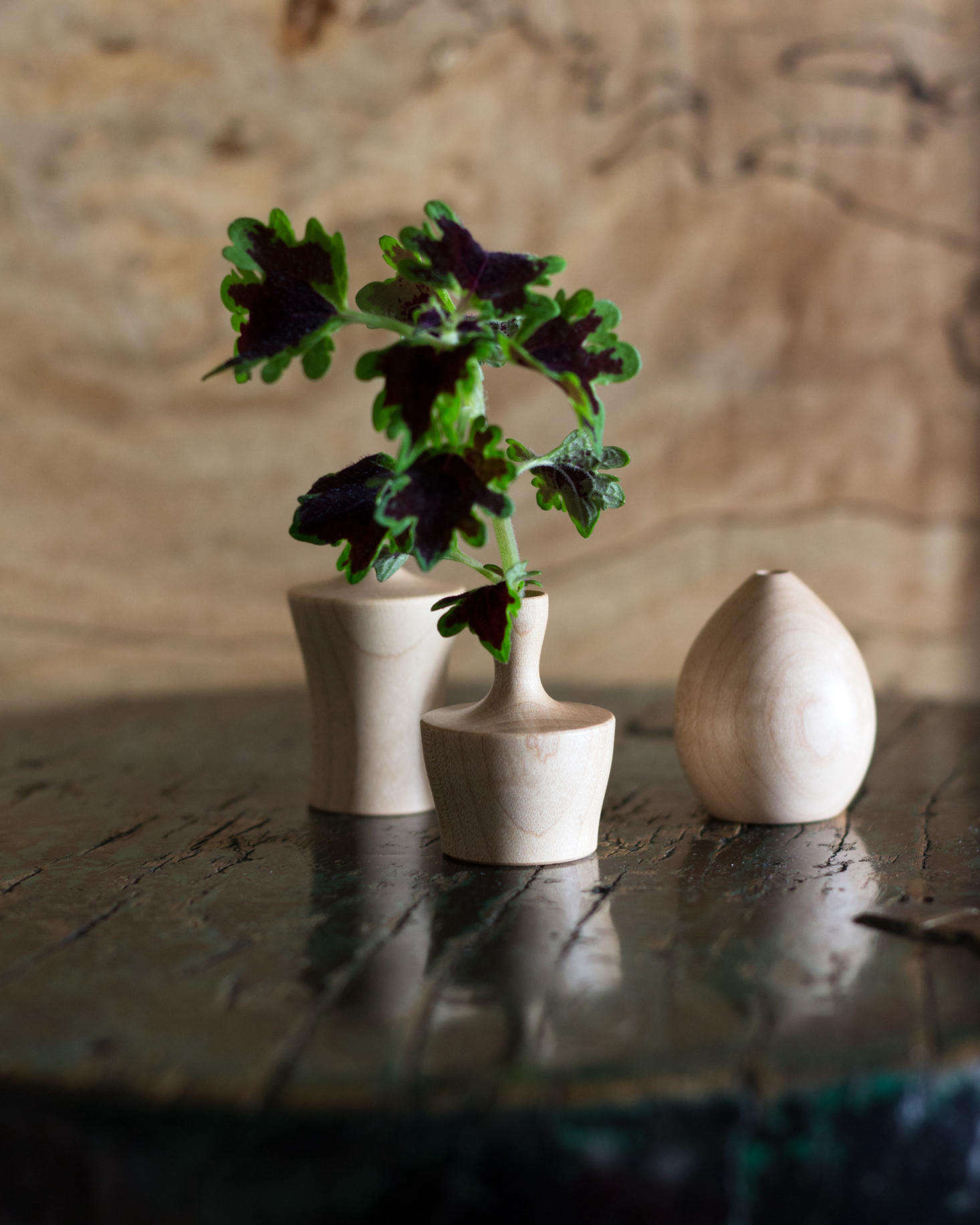 Tiny Bouquets: 8 Ideas for Floral Arrangements in Miniature Vases ...