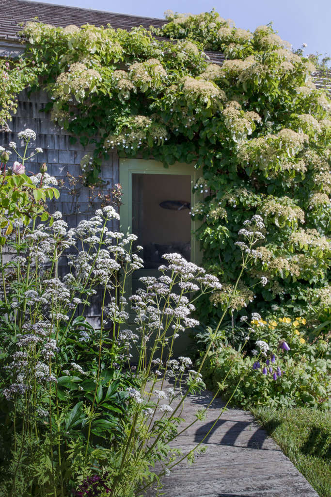 Landscaping Ideas: A Classic Cottage Garden on Cape Cod - Gardenista