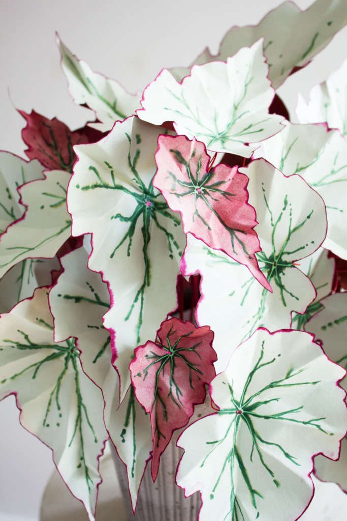 Paper Chase: Artful Plant Sculptures by Corrie Beth Hogg for GRDN ...