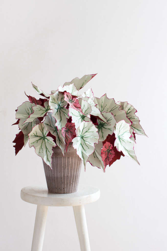 Paper Chase: Artful Plant Sculptures by Corrie Beth Hogg for GRDN ...