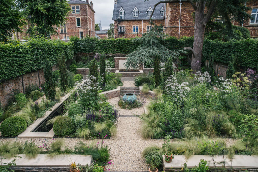 All About Clarkias: How to Grow this Annual Wildflower