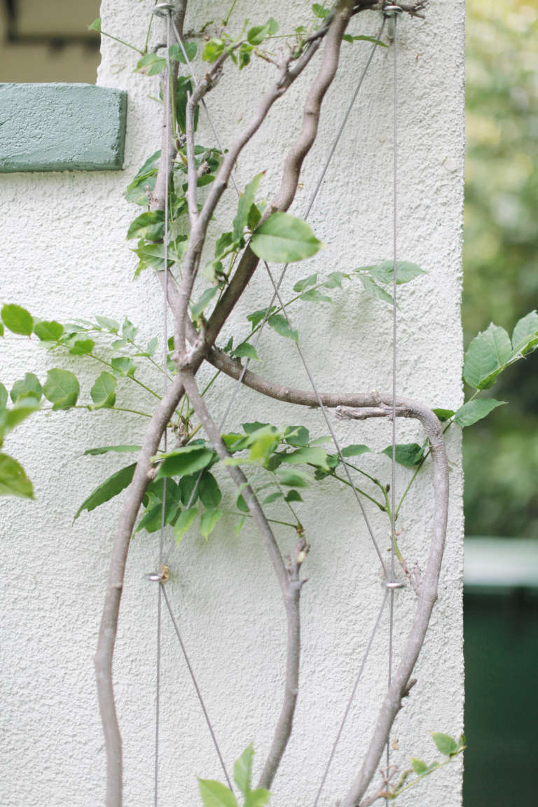 Curb Appeal: A Paint Makeover for a Stucco House, California Edition ...