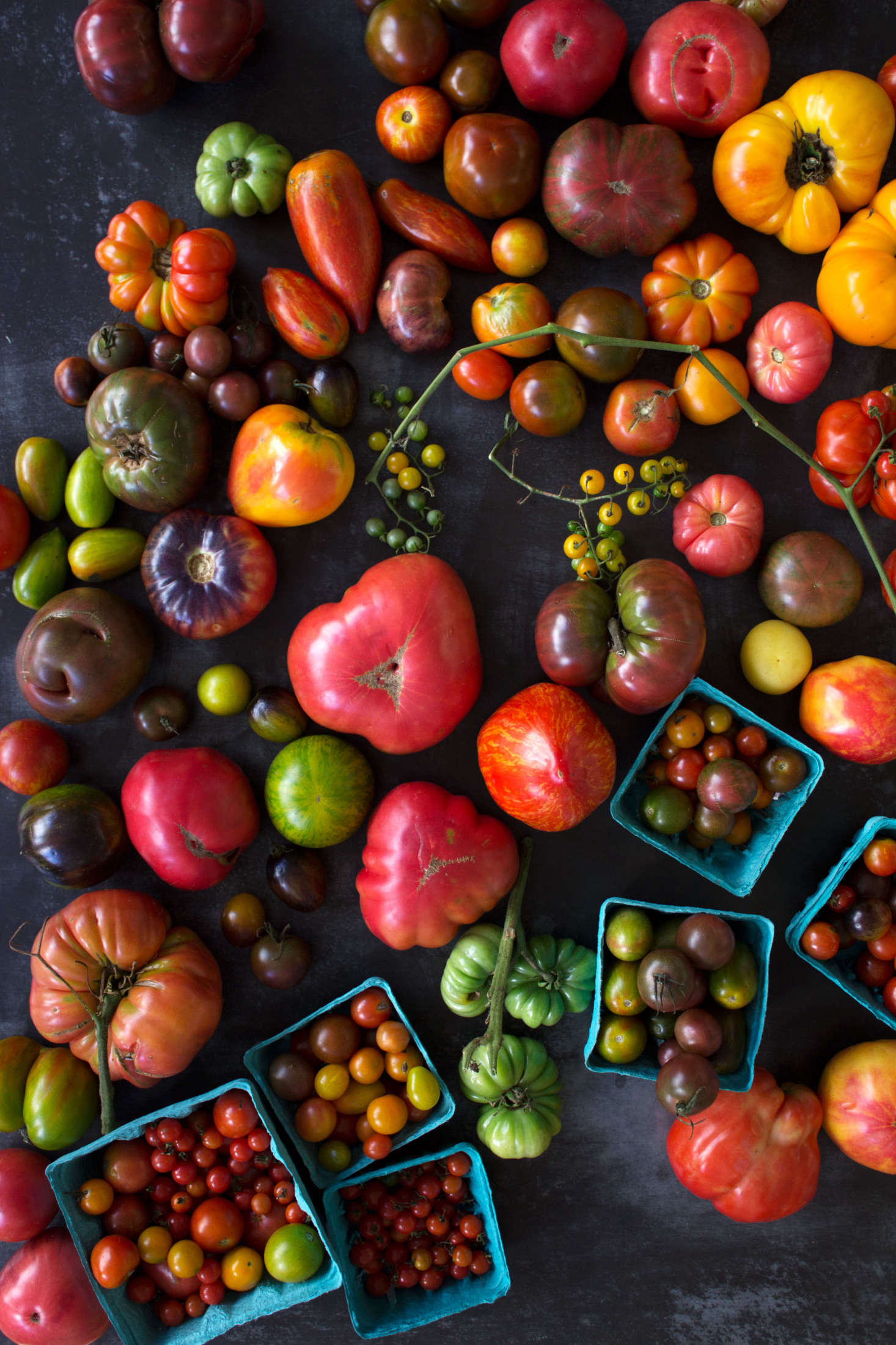 The Best of the Tomatoes: A Joyous Harvest Dinner by David Stark Design ...