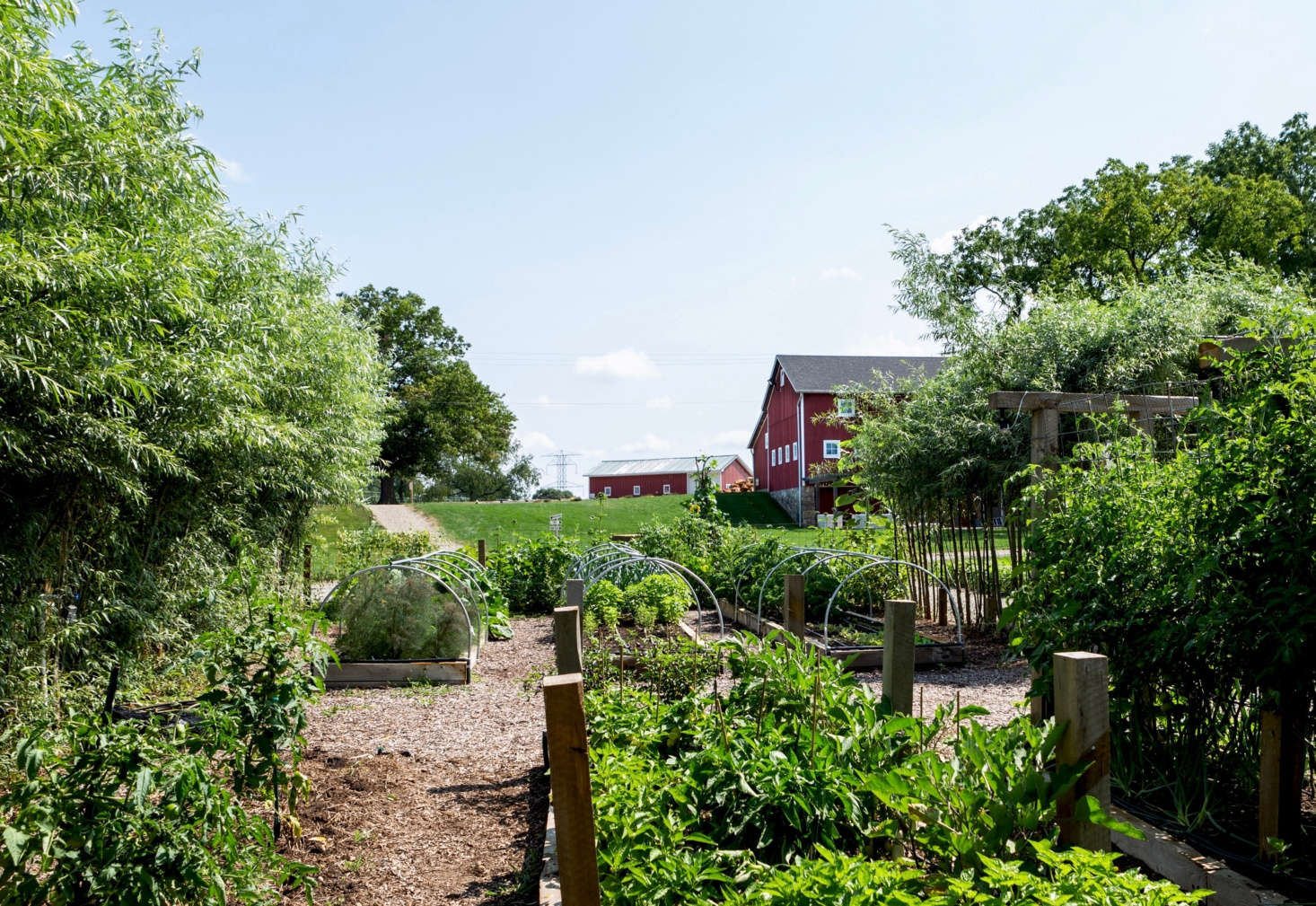 10 Edible Garden Ideas to Steal from Michigan's Favorite Foodie Farmers ...