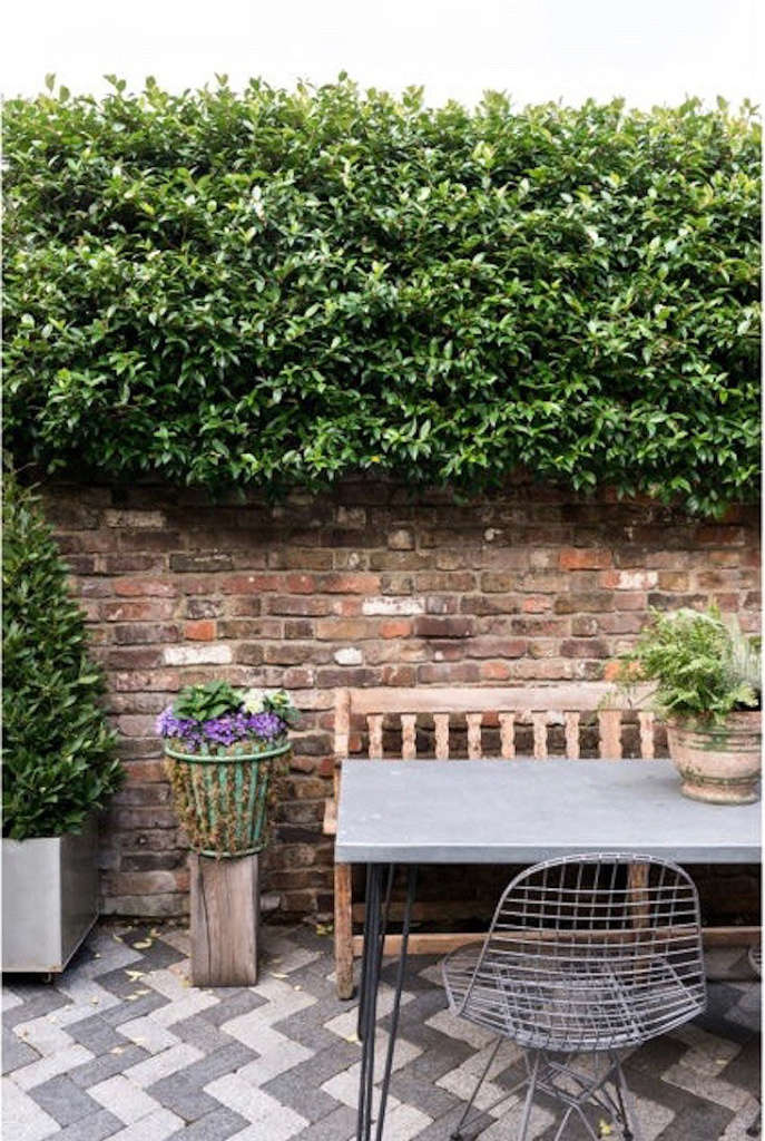 Lost in Time: A London Courtyard Garden on a Camera-Ready Historic ...