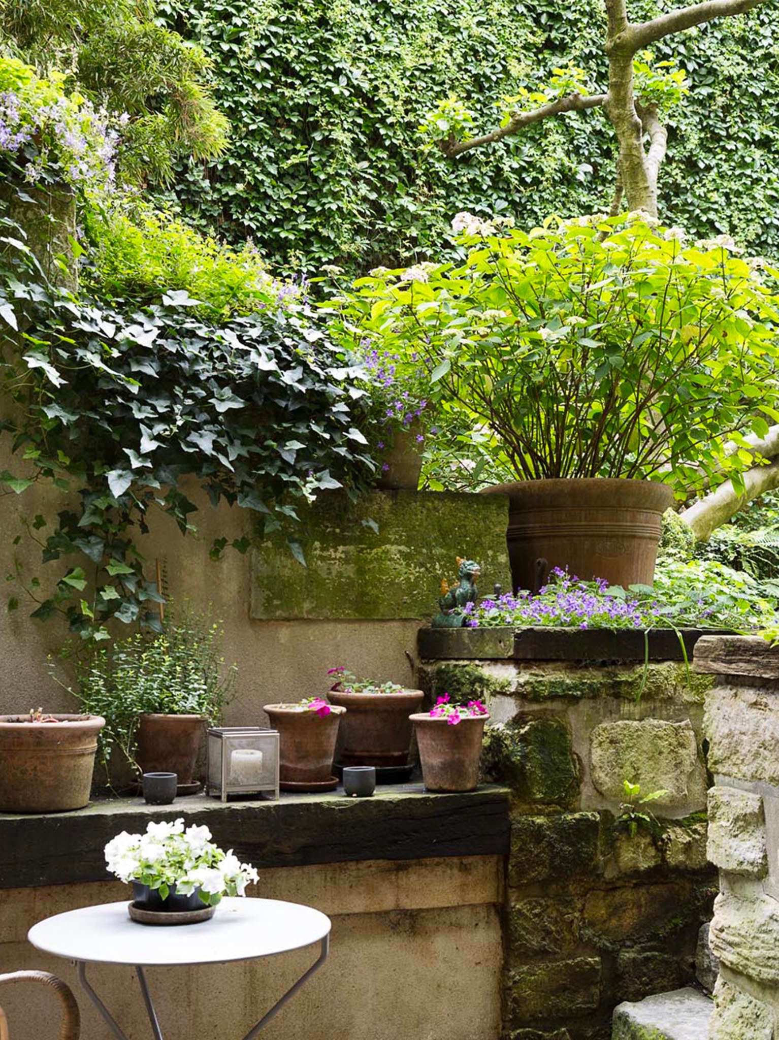 Americans in Paris: A Very Private Garden on Rue du Bac - Gardenista