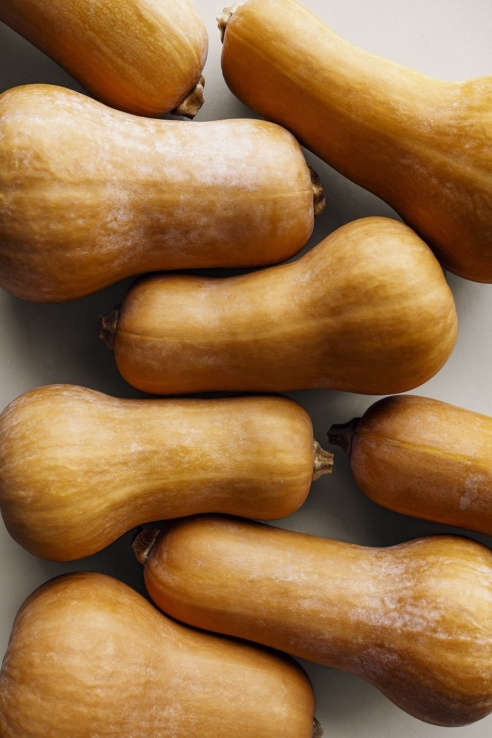 Bespoke Vegetables: 7 Very Special Edibles Every Cook Should Grow ...