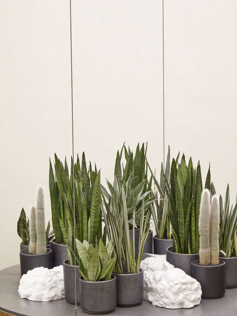 Low-Water Landscapes: 8 Ideas for Dry Gardens, from Designer Daniel ...