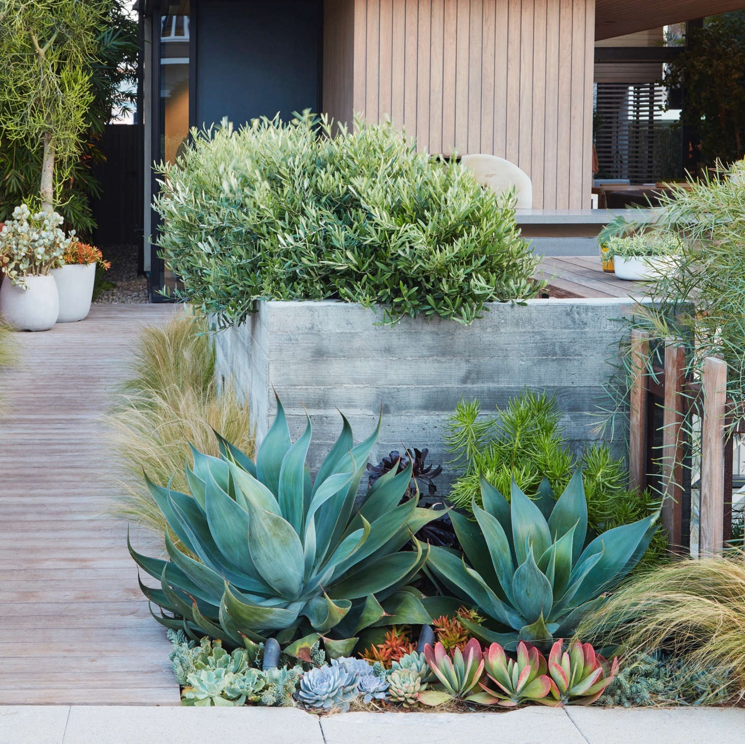 Low-Water Landscapes: 8 Ideas for Dry Gardens, from Designer Daniel ...