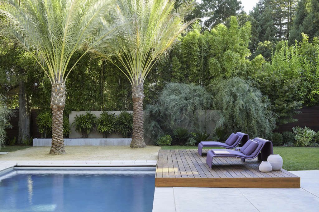 Low-Water Landscapes: 8 Ideas for Dry Gardens, from Designer Daniel ...