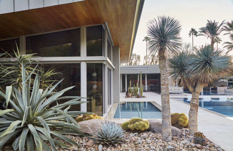 Low-Water Landscapes: 8 Ideas for Dry Gardens, from Designer Daniel ...