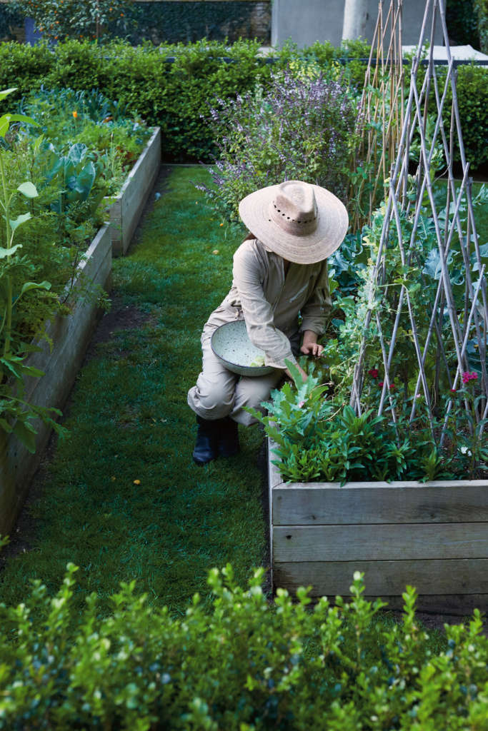 Raised Bed, Container, or In-Ground? How to Choose the Right Type of Garden for Your Space ...