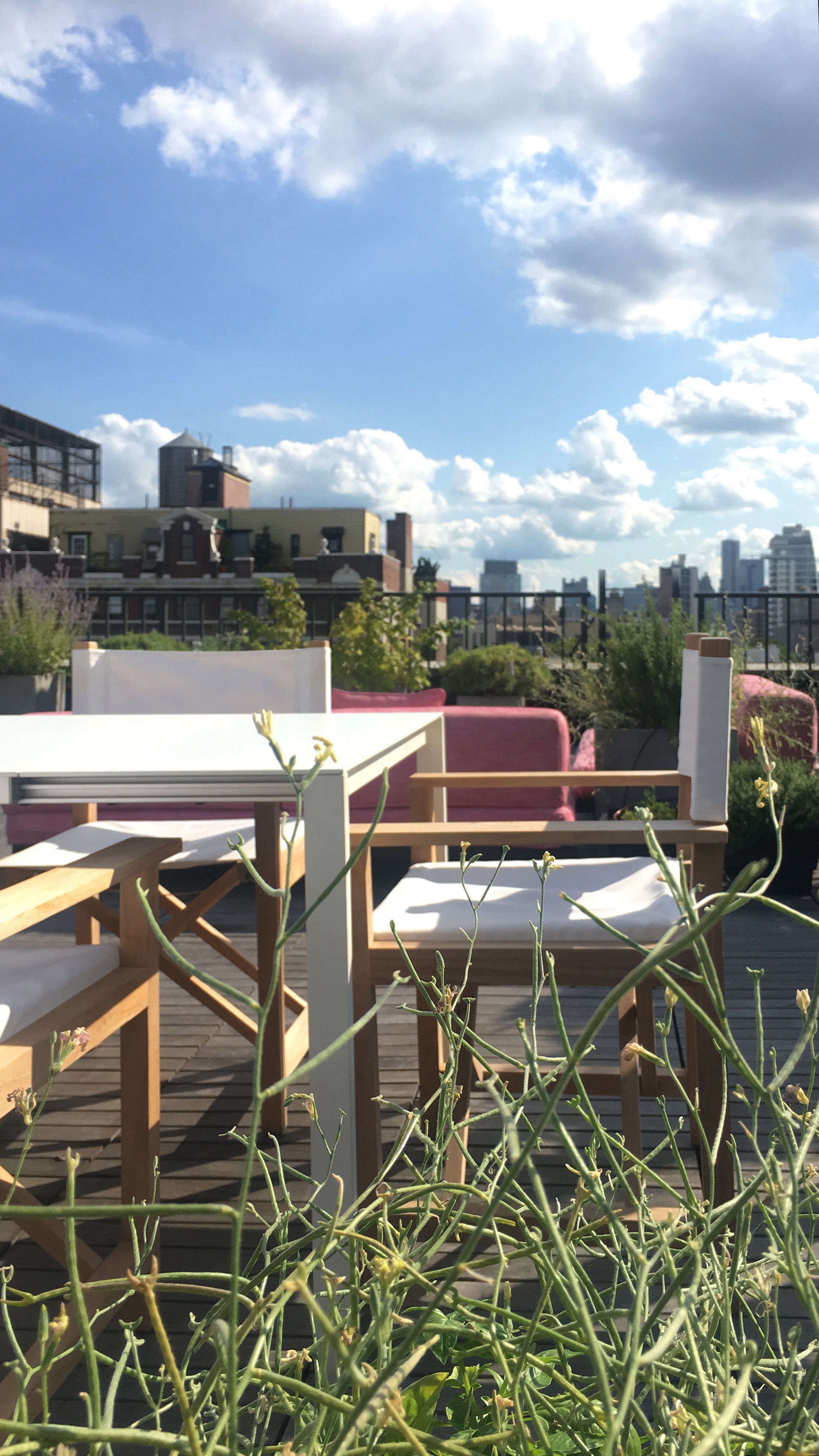 A Pink Roof Garden in Manhattan: At Home with Designer Magdalena Keck ...