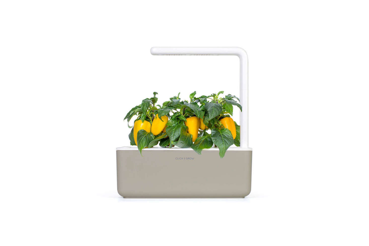 10 Easy Pieces: Countertop Vegetable-Growing Kits - Gardenista