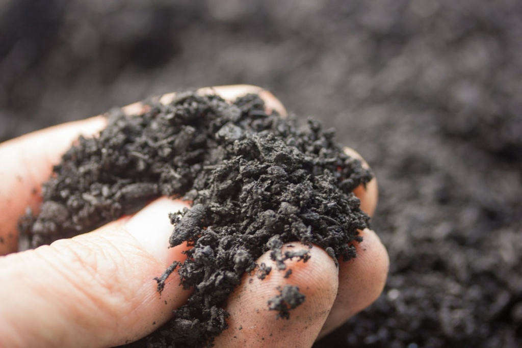 The Garden Decoder: What Is 'Biochar'? - Gardenista