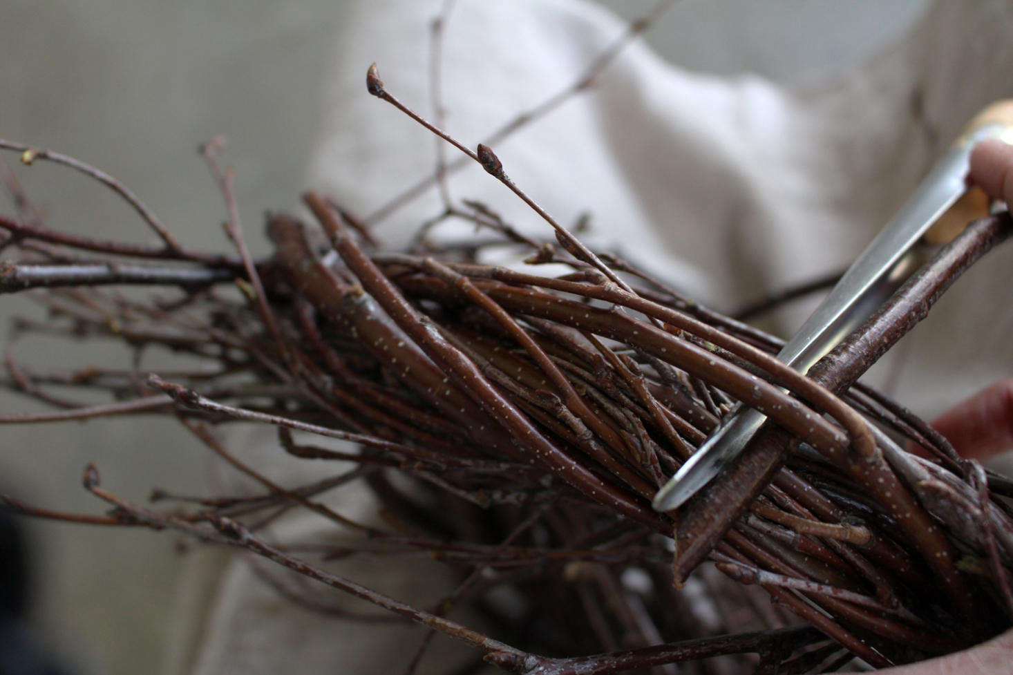 DIY Bird Nests: Twig Tabletop Arrangements for Easter - Gardenista