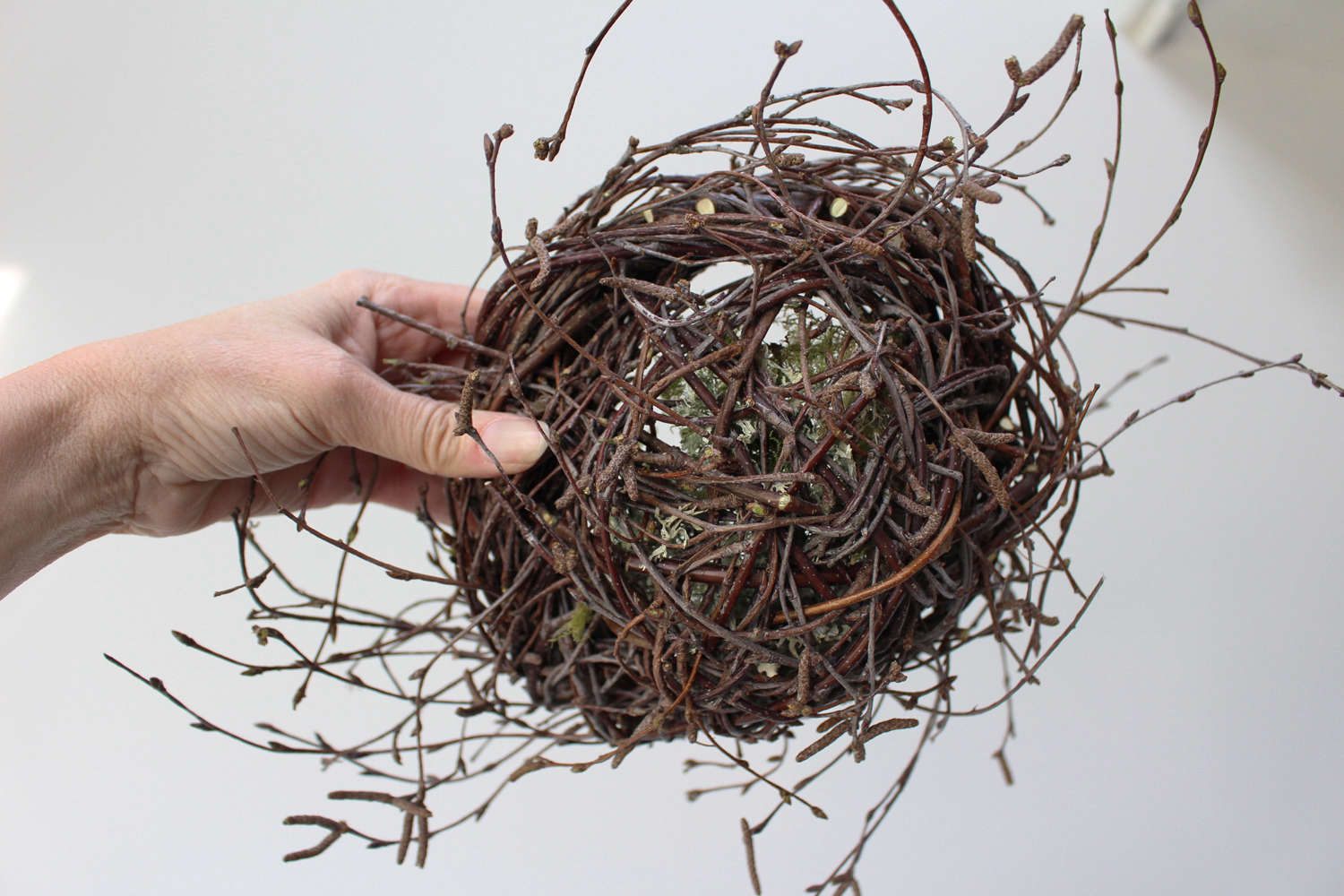DIY Bird Nests: Twig Tabletop Arrangements for Easter - Gardenista