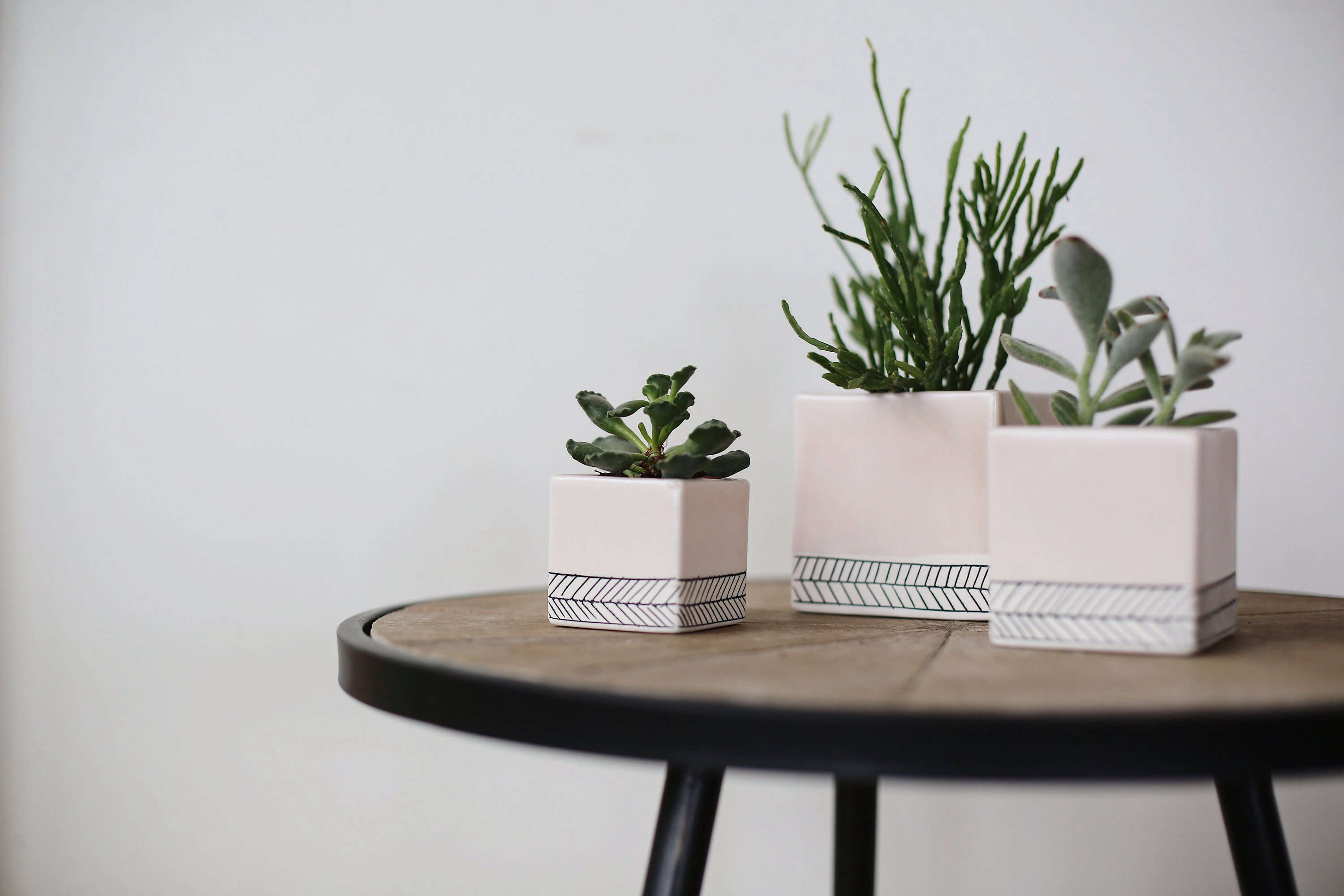 Pastel Planters: 5 Favorite Petal-Colored Pots - Gardenista