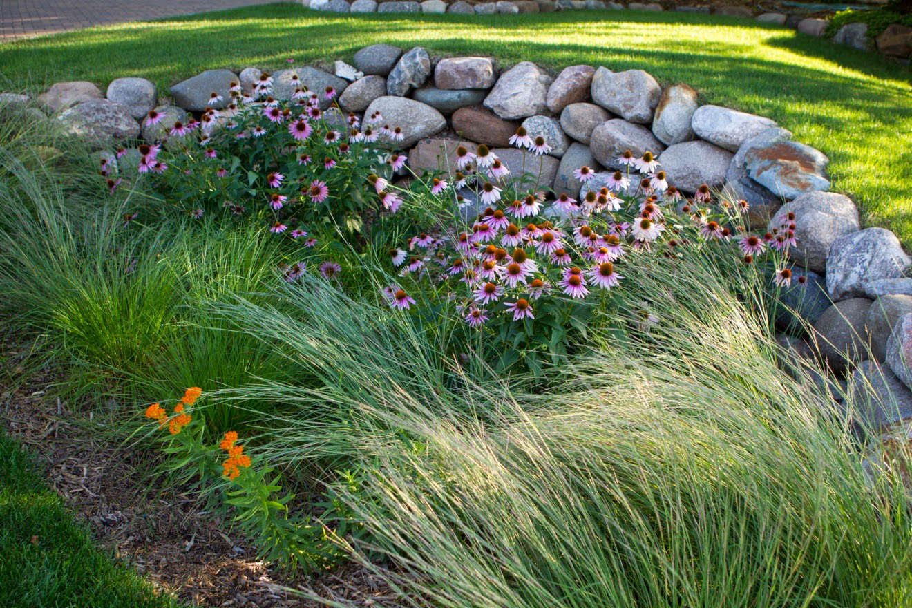 Hardscaping 101: Rain Gardens - Gardenista