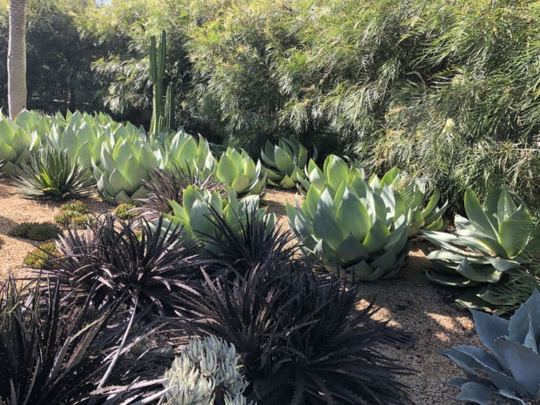 Hike of the Week: Salesforce Park in San Francisco - Gardenista