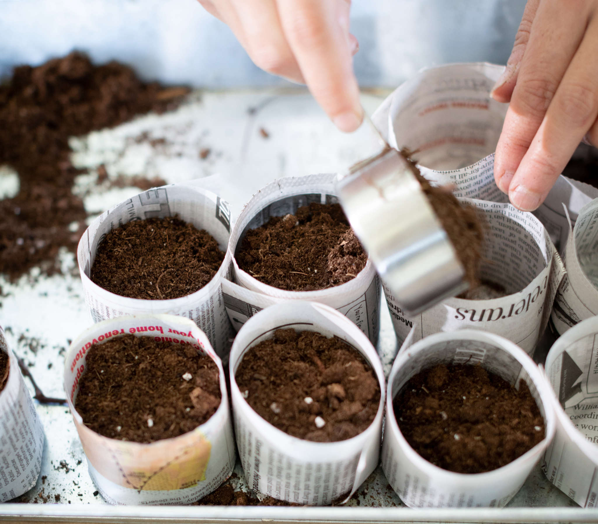Sustainable Seed Starting: 5 Favorite Eco-Conscious Methods