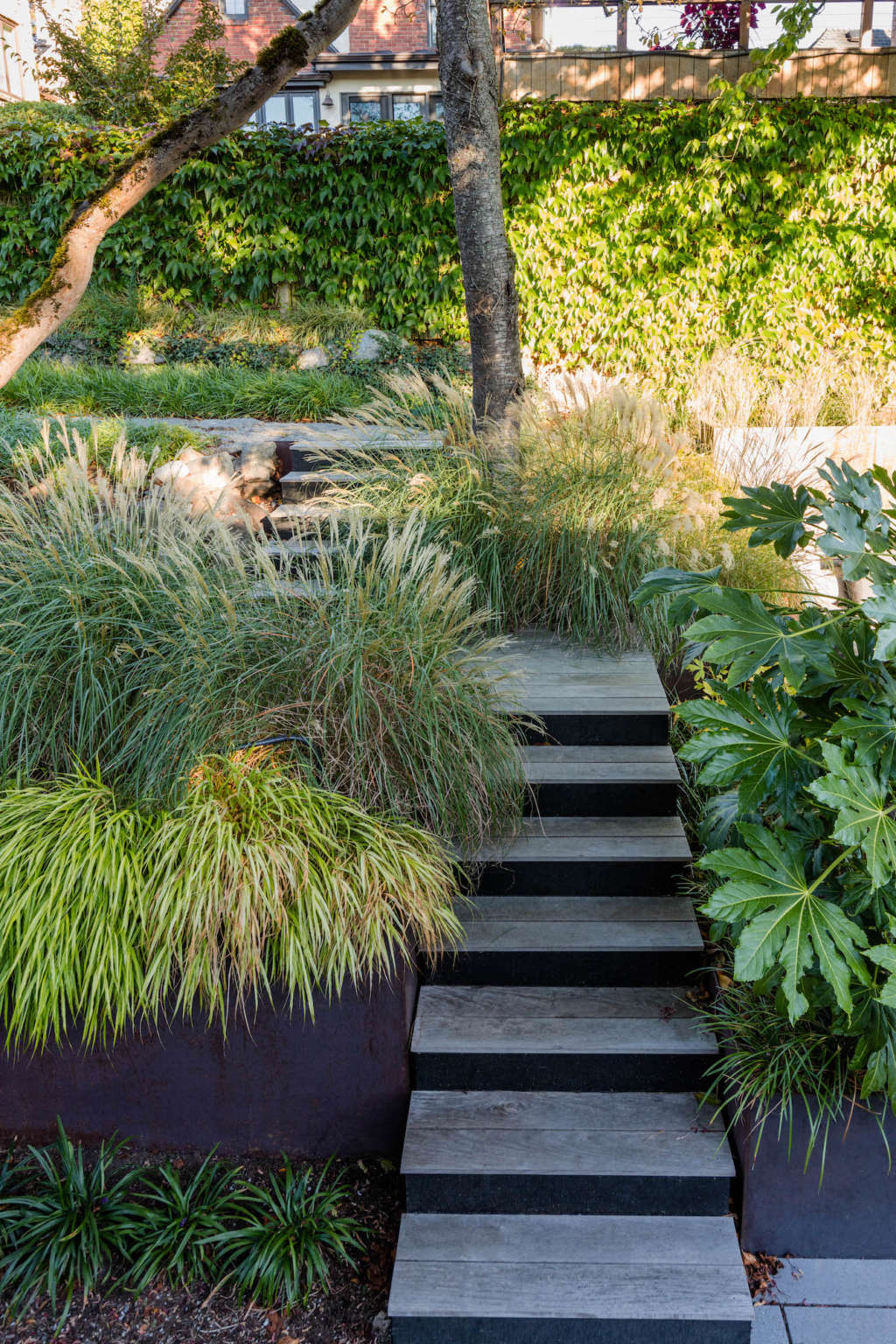 Gossamer Gardens: 12 Ideas for Landscaping with Mexican Feather Grass ...