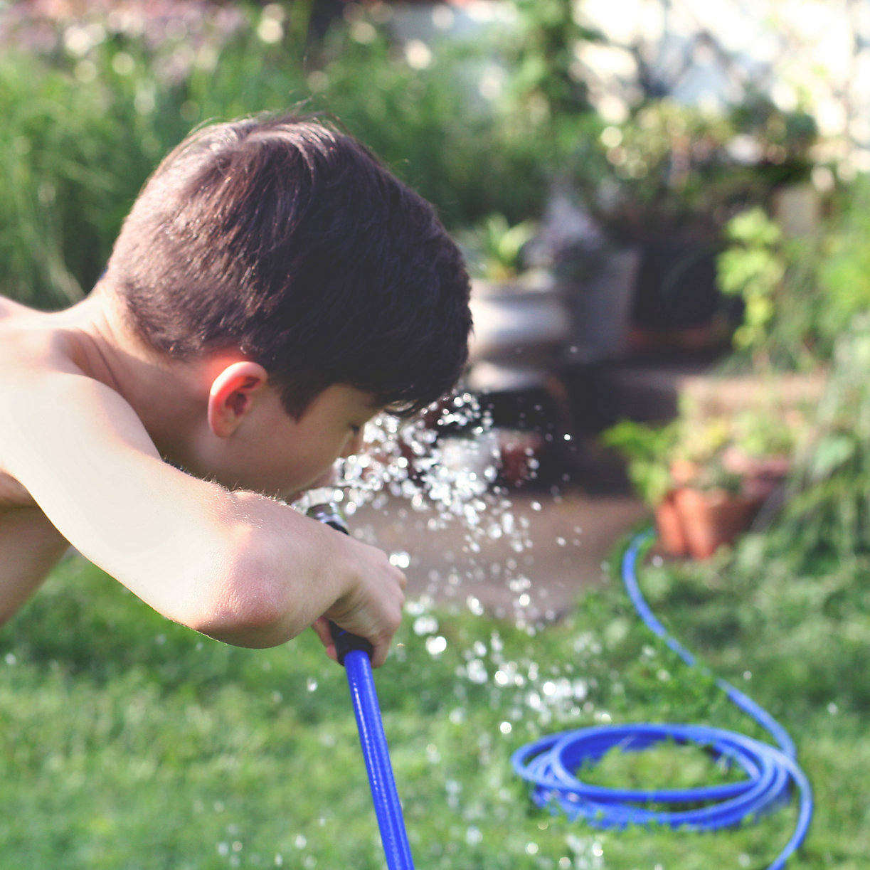 8 Favorites: Colorful Garden Hoses - Gardenista