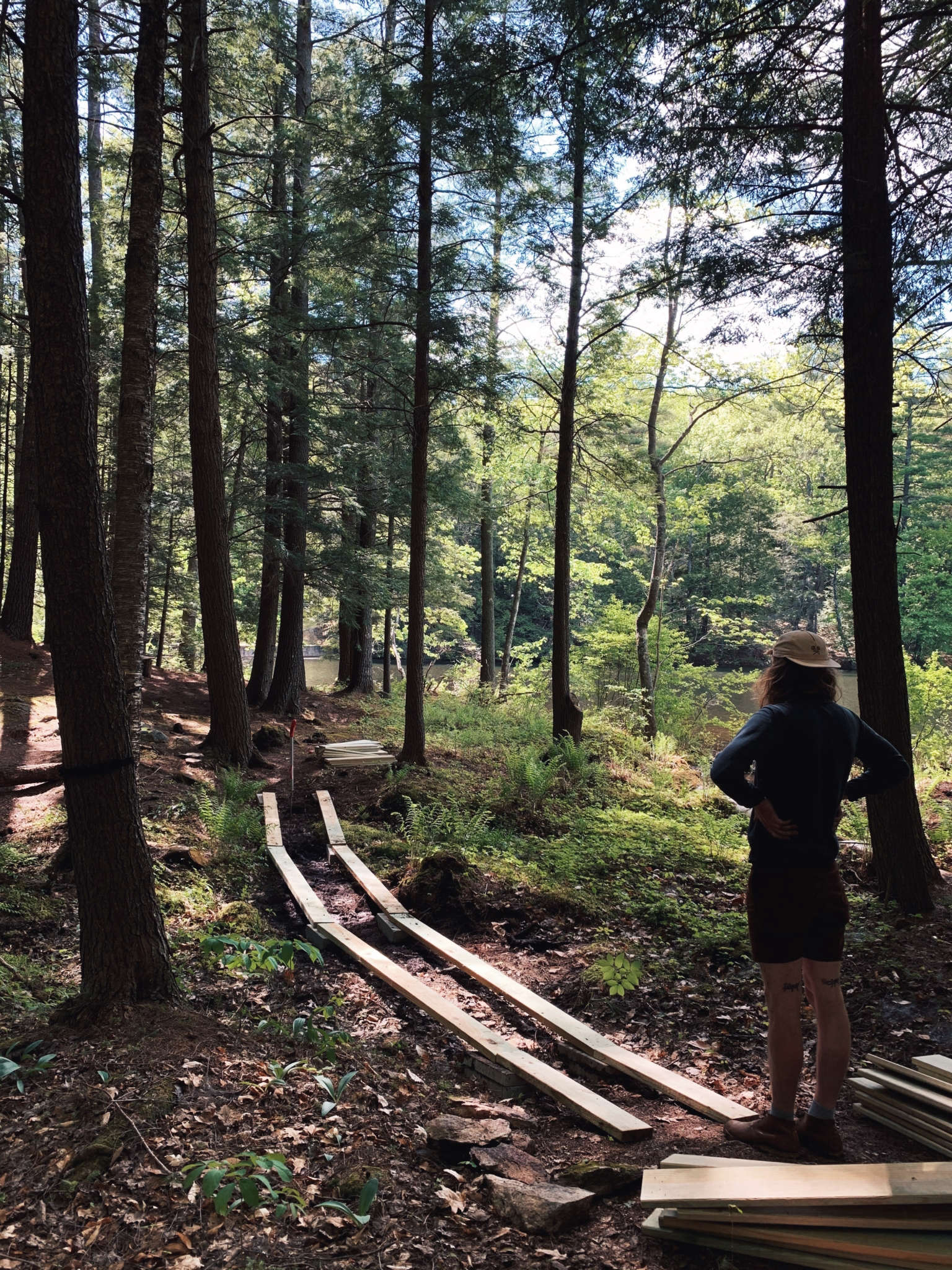 DIY Boardwalk: How to Lay Down a Planked Path Yourself