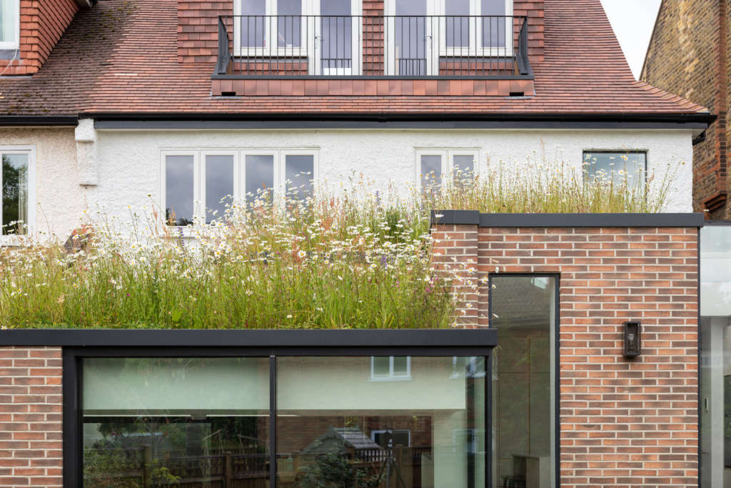 Fresh as a Daisy: A Wildflower Roof on a Home Designed by Fraher ...