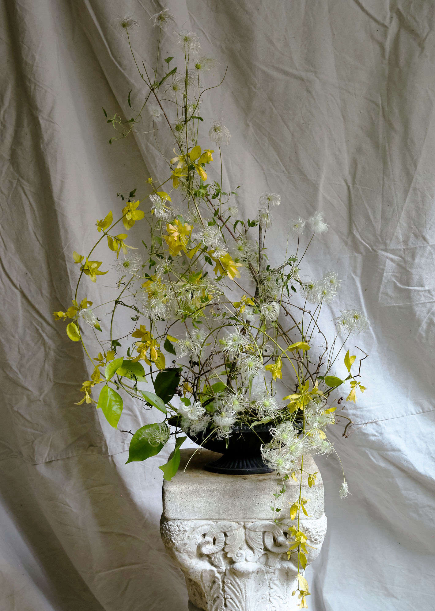 Eco-Conscious Florists: How to Know Your Cut Flowers Are Sustainable