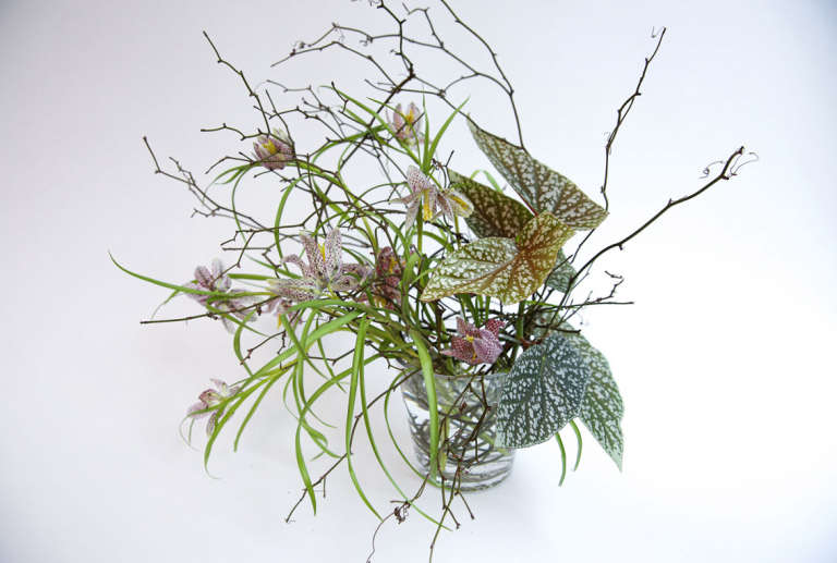 Emily Thompson: An Interview with the Artist and Floral Designer