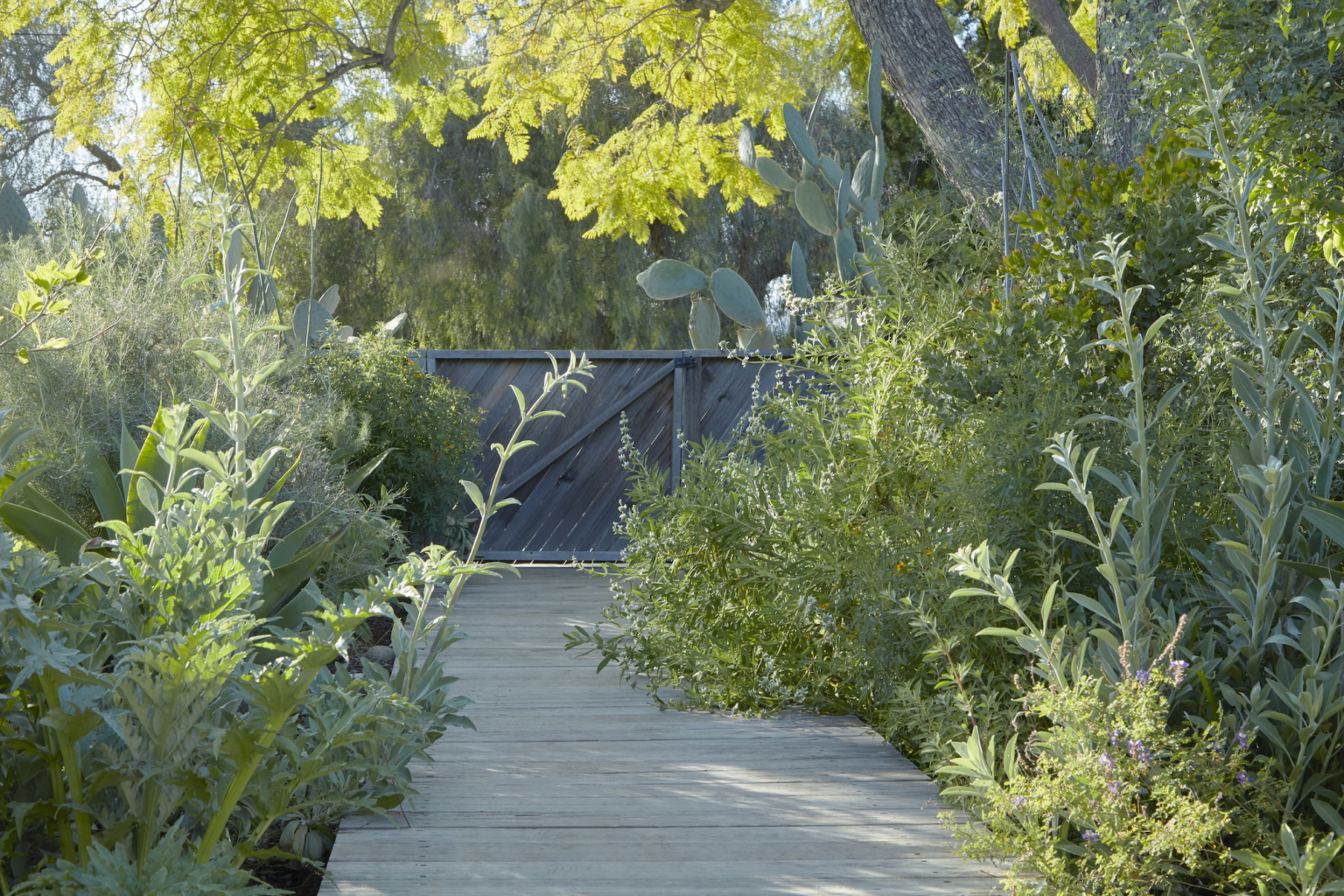 Garden Visit: 'Nuance and Unplanned Fun' in a Landscape Architect's ...
