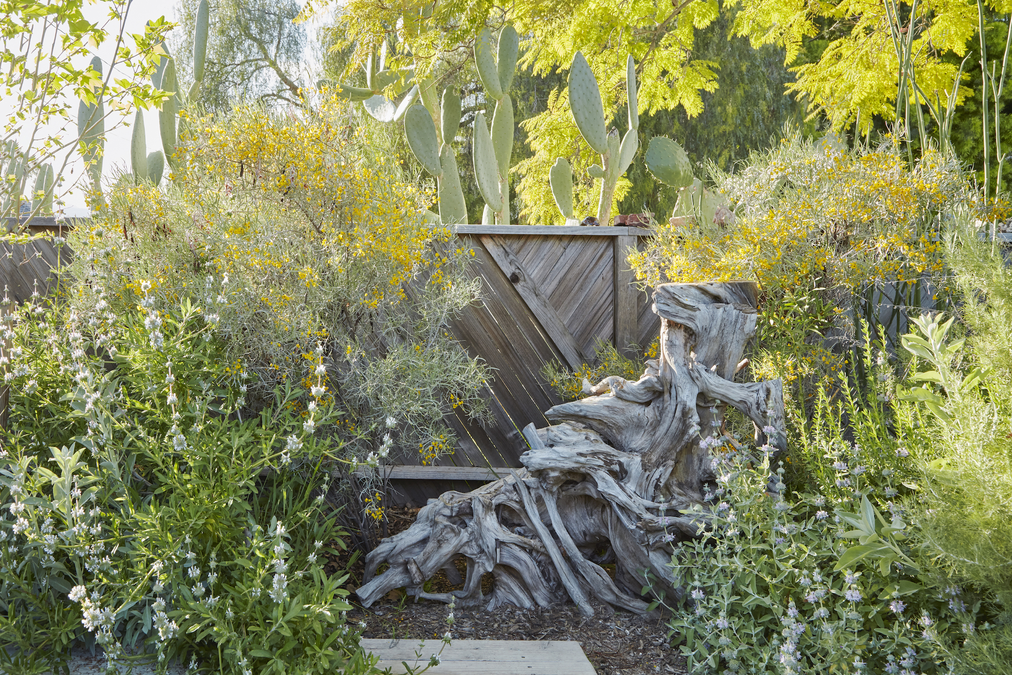 Garden Visit: 'Nuance and Unplanned Fun' in a Landscape Architect's ...