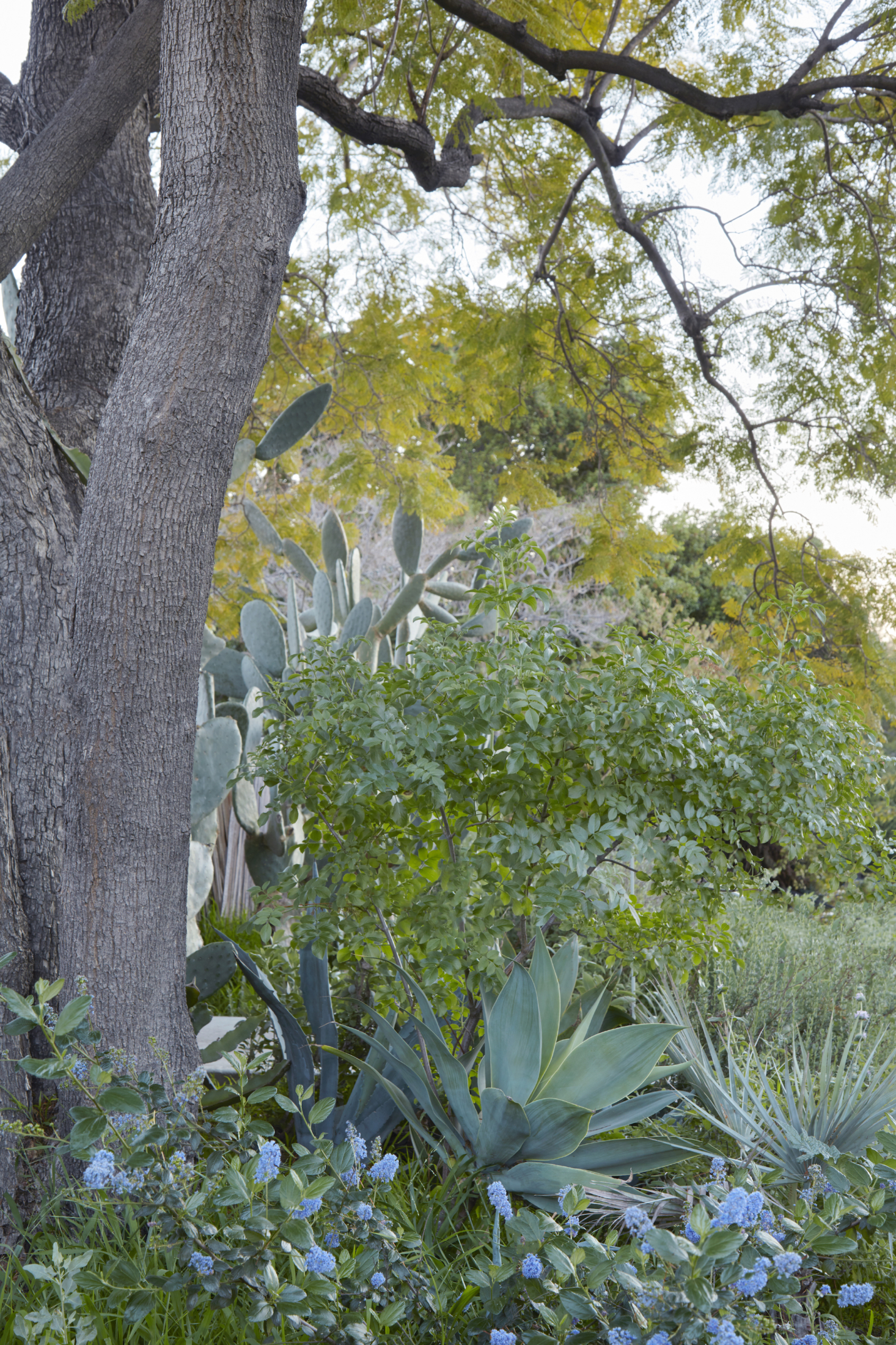 Garden Visit: 'Nuance and Unplanned Fun' in a Landscape Architect's ...