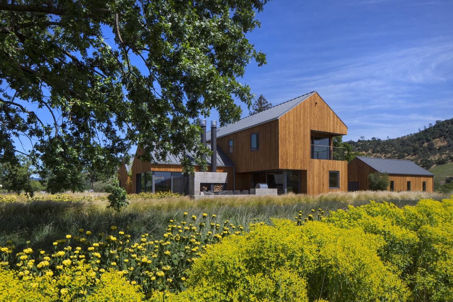 7 Landscaping Ideas to Borrow From Northern California's Wine Country ...