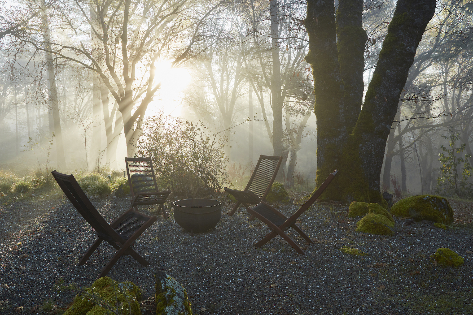 Garden Visit: At Home with Photographer Caitlin Atkinson in Santa Cruz ...